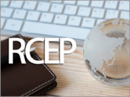 RCEPとは何か？ TPPに代わって注目集める「経済連携」の基礎を解説 ｜ビジネス+IT