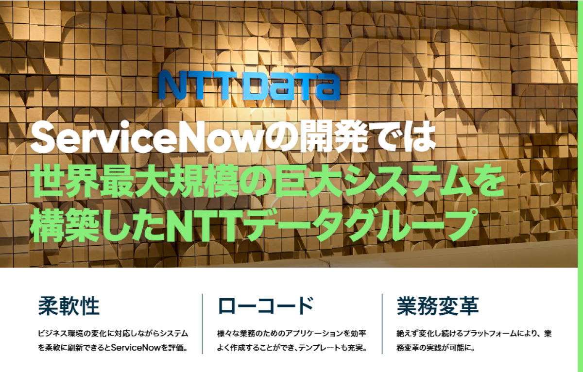 NTTデータグループの「世界最大規模」のシステム開発、SaaSを開発基盤に選んだワケ ｜ビジネス+IT